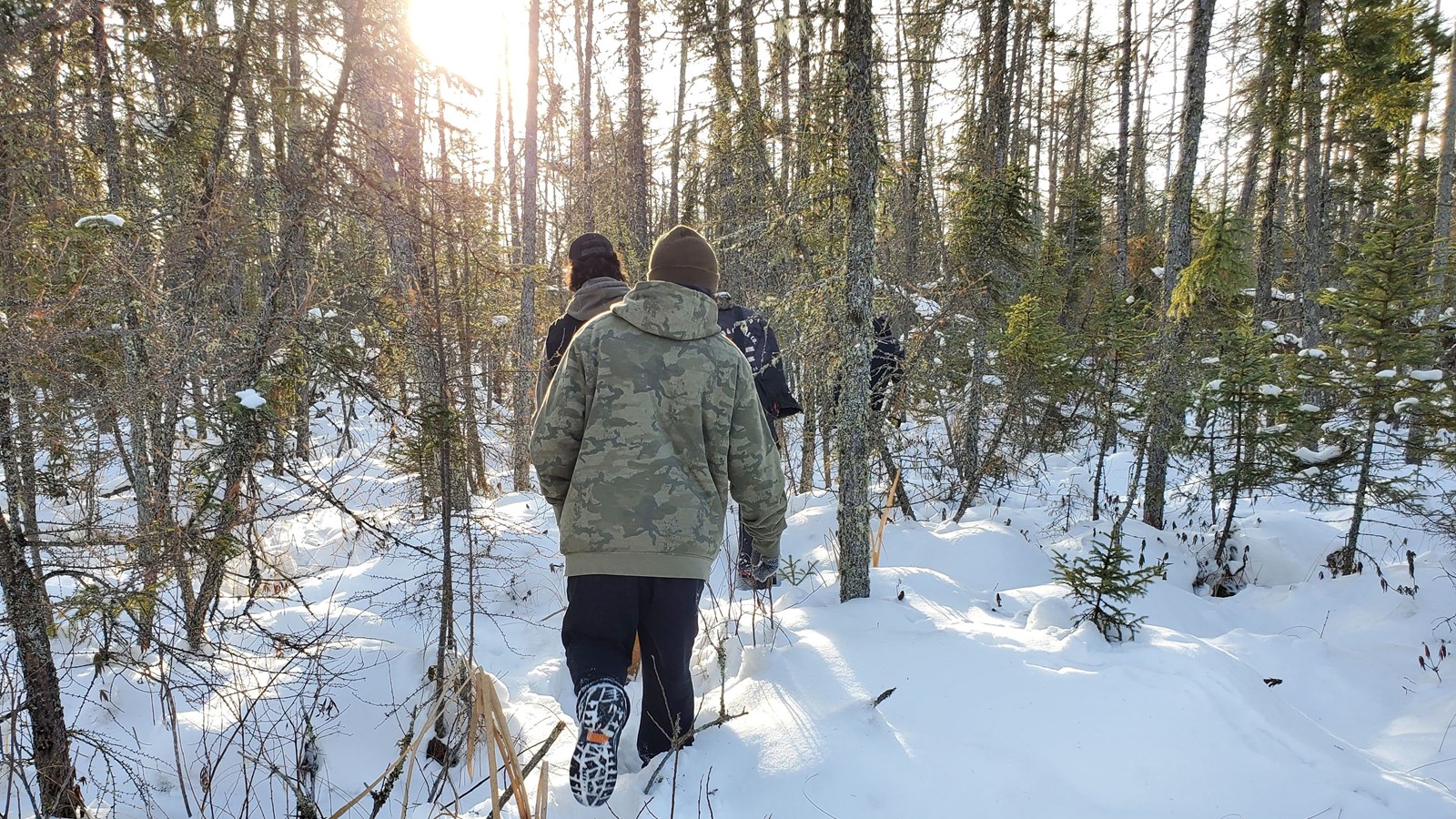 ACS Science Experiences